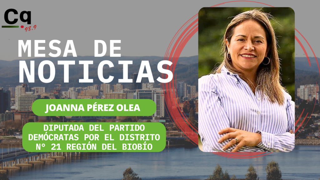 Joanna Pérez Olea diputada del Partido Demócratas por el Distrito n° 21 Región del Biobío – El ...