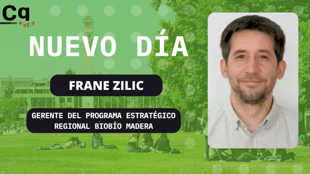 Frane Zilic gerente del programa estratégico regional Biobío Madera ...